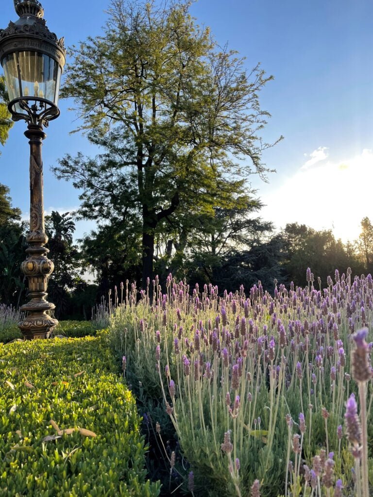 Invergowrie | Tomisich Family Group